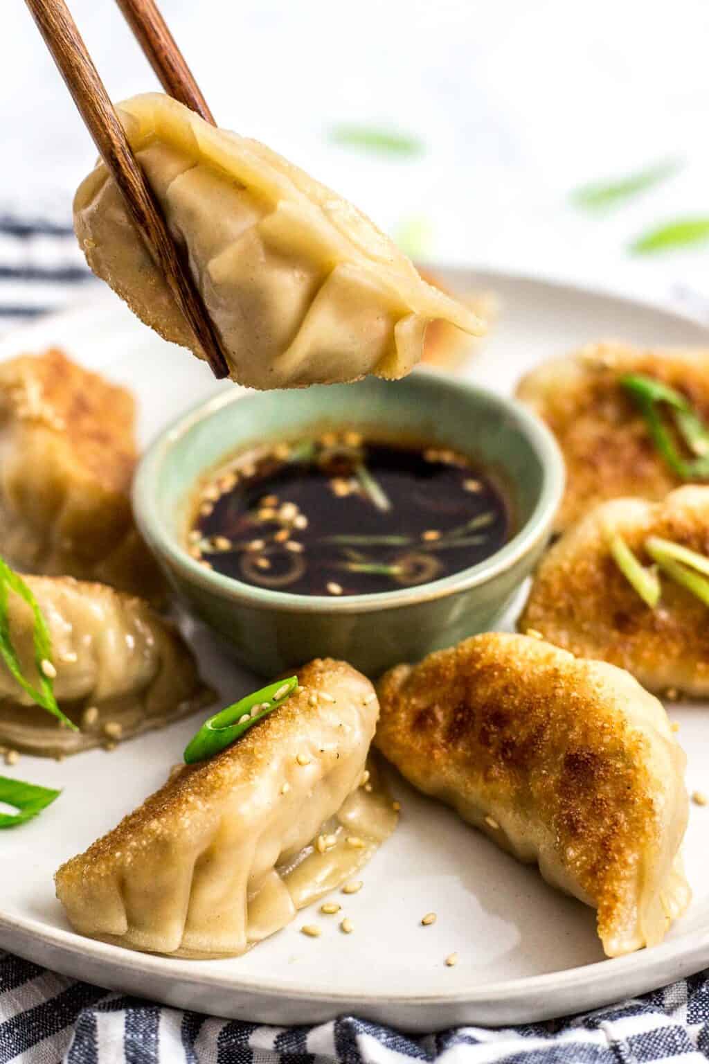 Vegan Korean Veggie Tofu Mandu/Dumplings - My Eclectic Bites